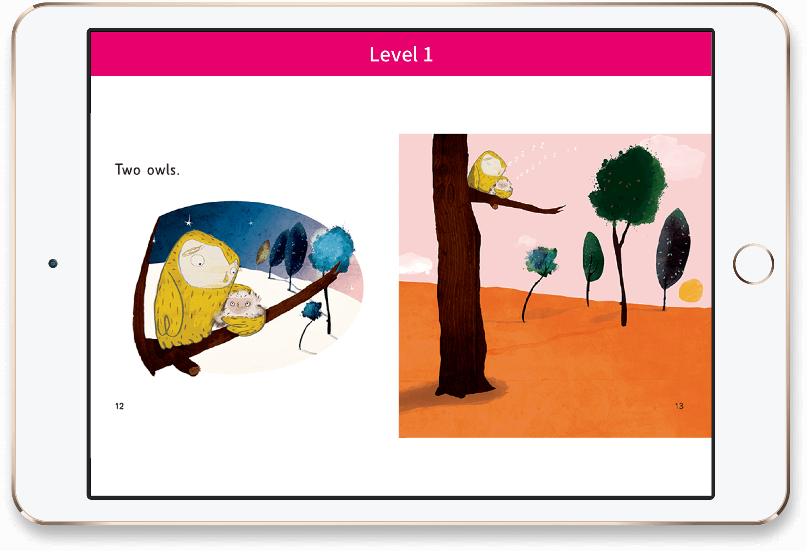 READING & - Program Subscription